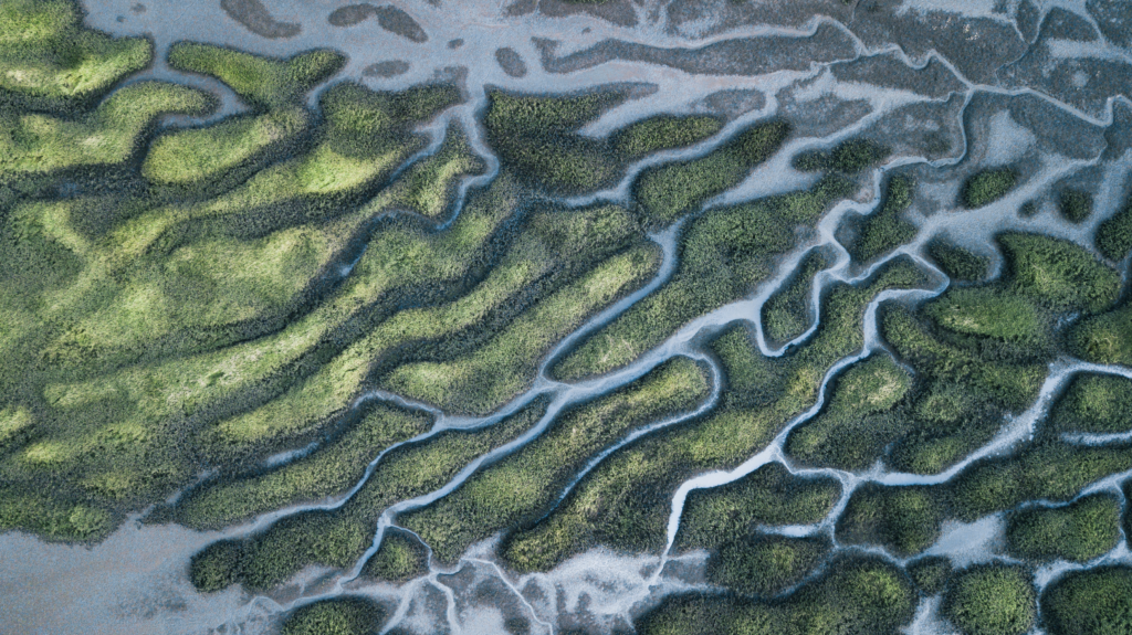 Essential Global Mobility: Taxes, Payroll and Compliance.